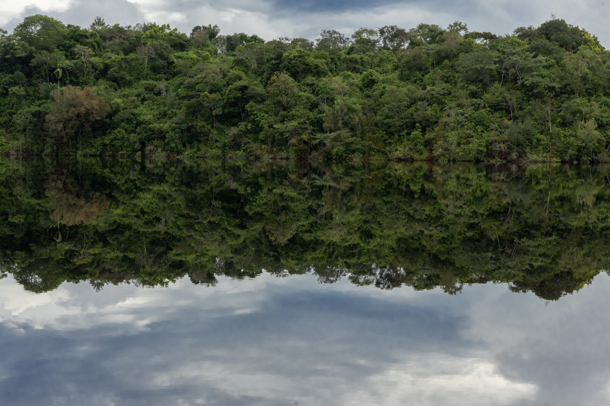 Madeira da Amazônia: normas avançam, mas só 10% da extração é regular